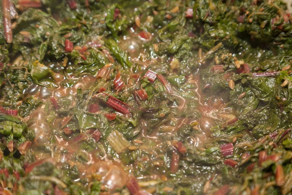 Chhodo Shaak with 14 Leafy Vegetables: A Nutrient-Packed Green Delight ...
